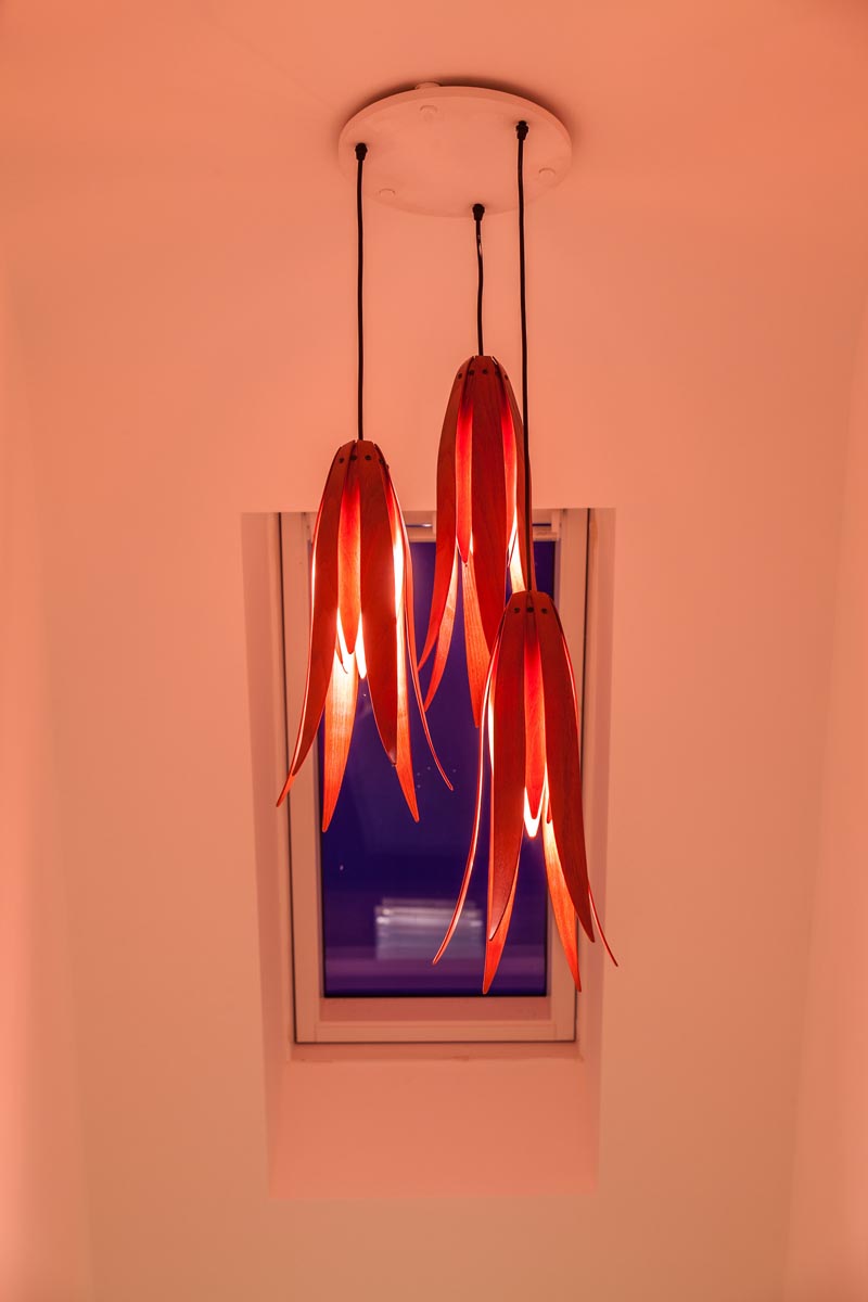 Fuchsia Pendant Light – MacMaster Design